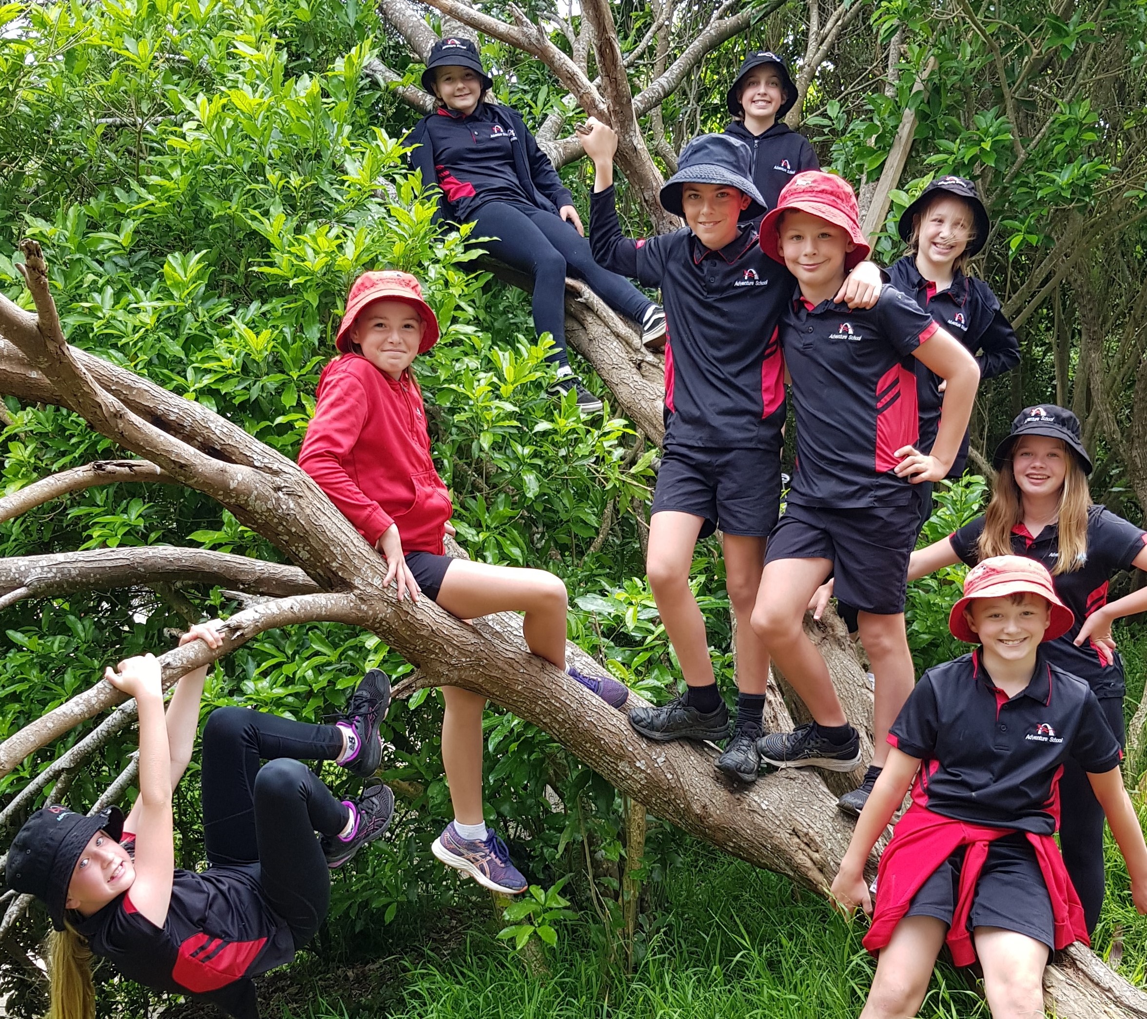 Welcome to Adventure School - Adventure School